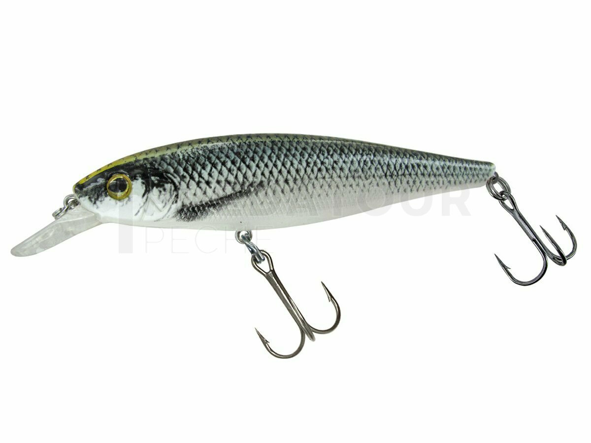 Jenzi T-Rex Suspender Minnow 100 - Leurres poisson nageur - Magasin de ...