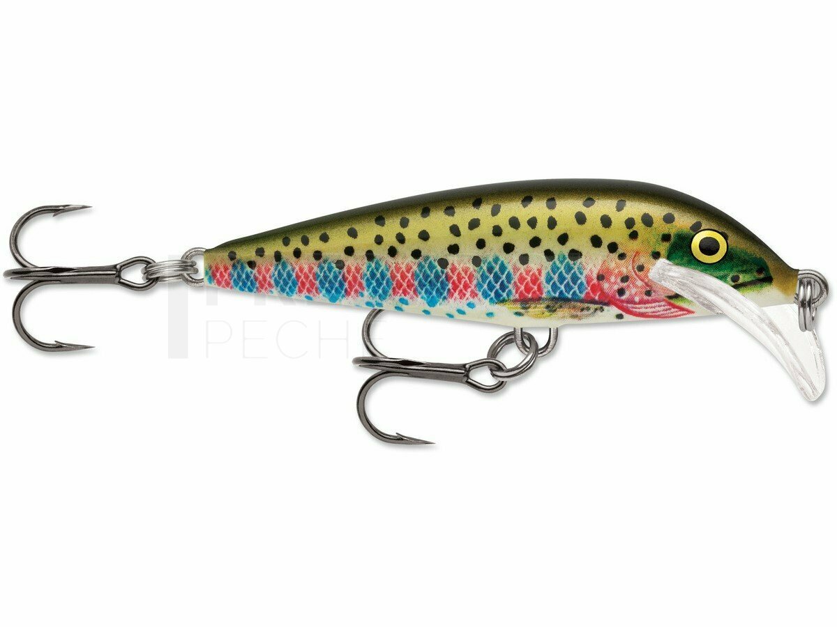 Rapala Scatter Rap CountDown - Leurres poisson nageur - Magasin de ...